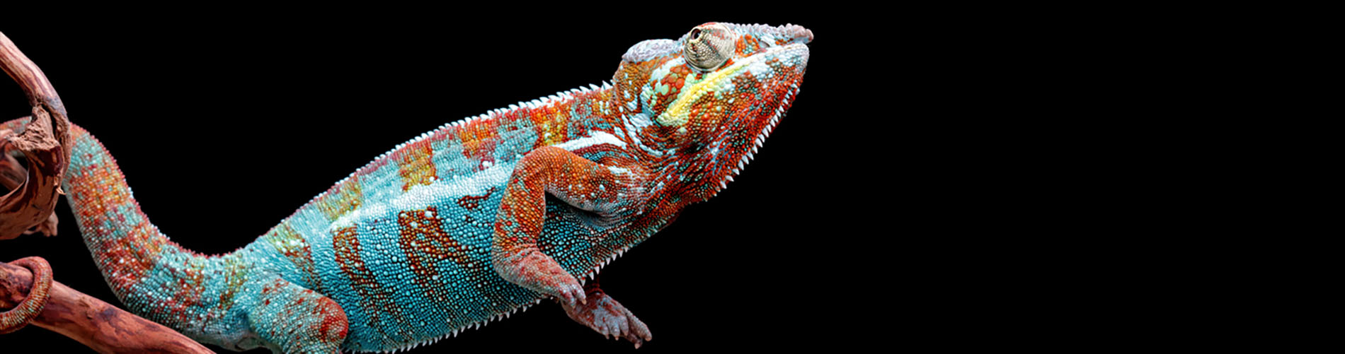 UV Index Meters – Northern Gecko Inc