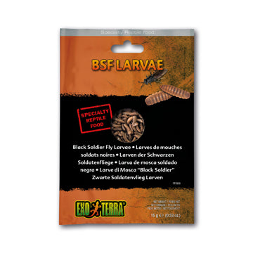 Exo Terra Vacuum Packed Specialty Reptile Foods, Snails – Northern ...