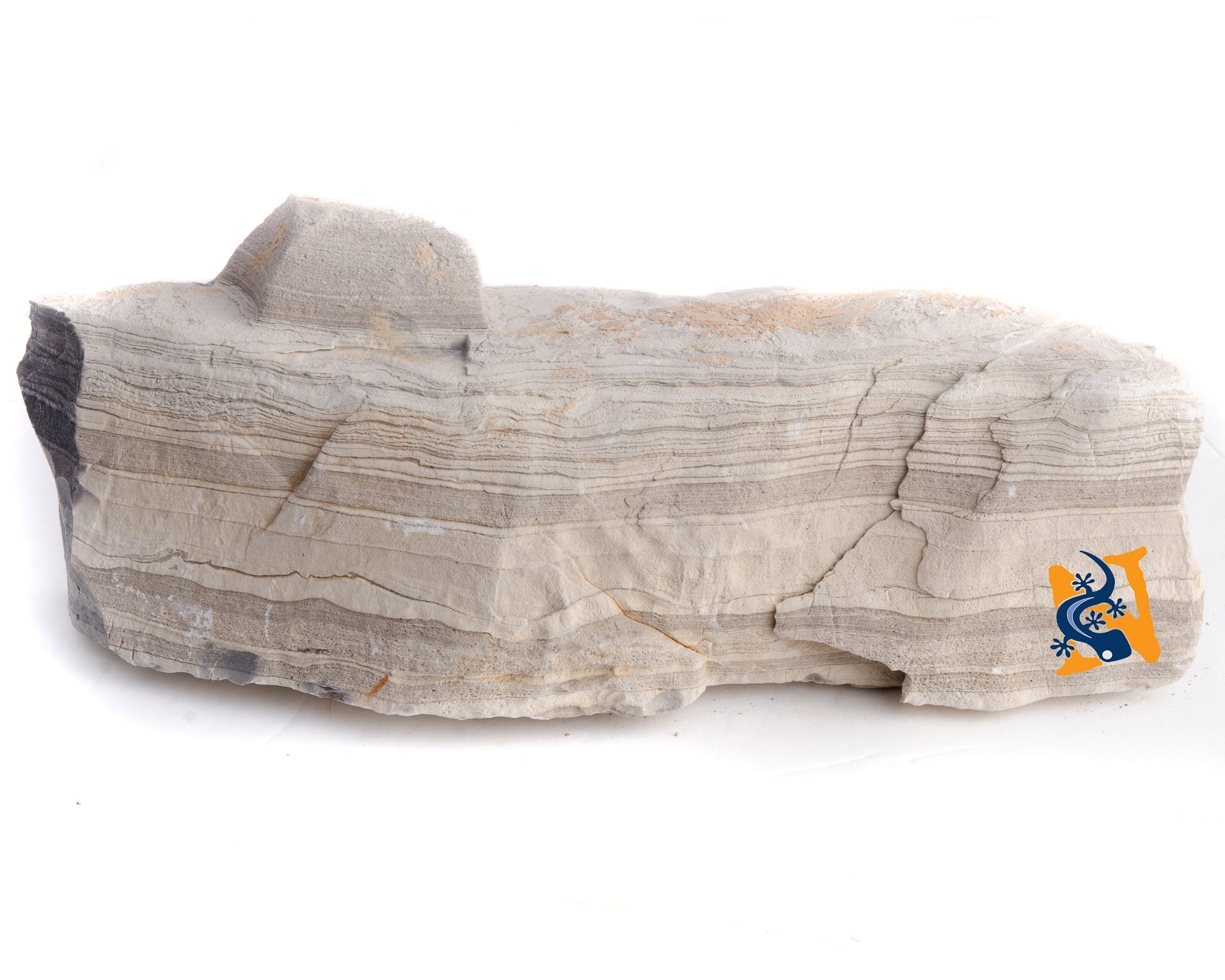 Gobi Rock – Northern Gecko Inc