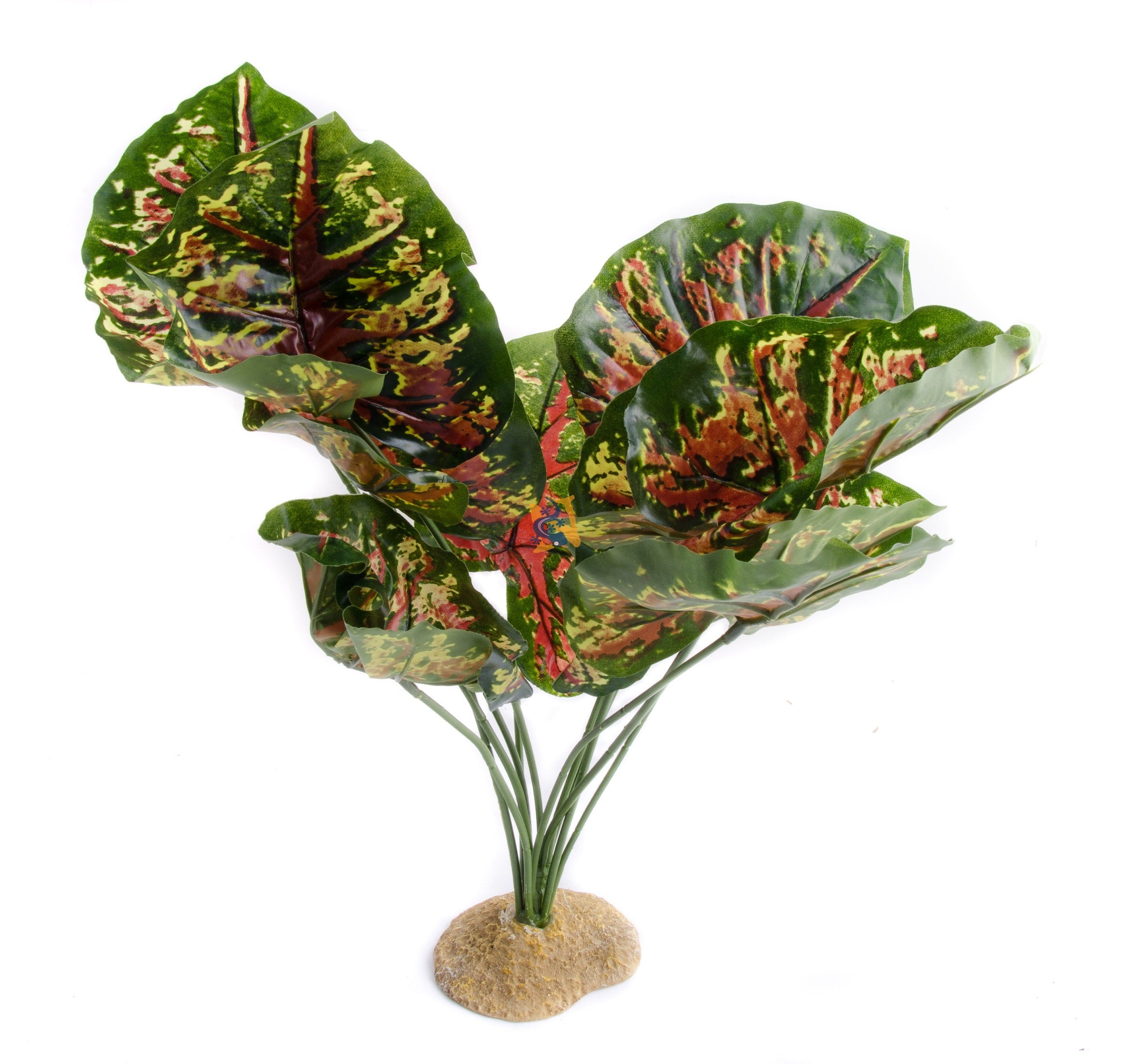 AquaGlobe Red Casia Silk Plant – Northern Gecko Inc