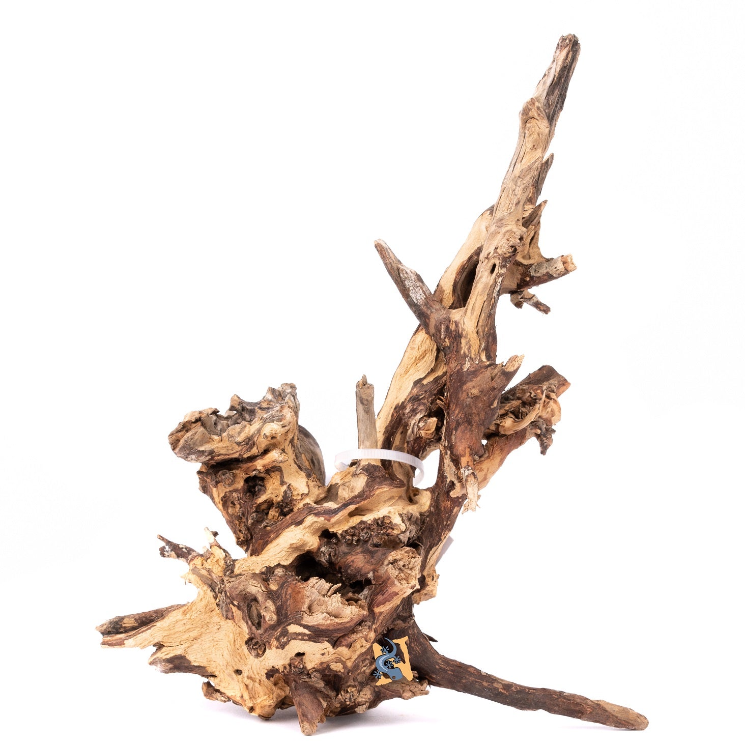 AquaGlobe Cyrus Wood – Northern Gecko Inc