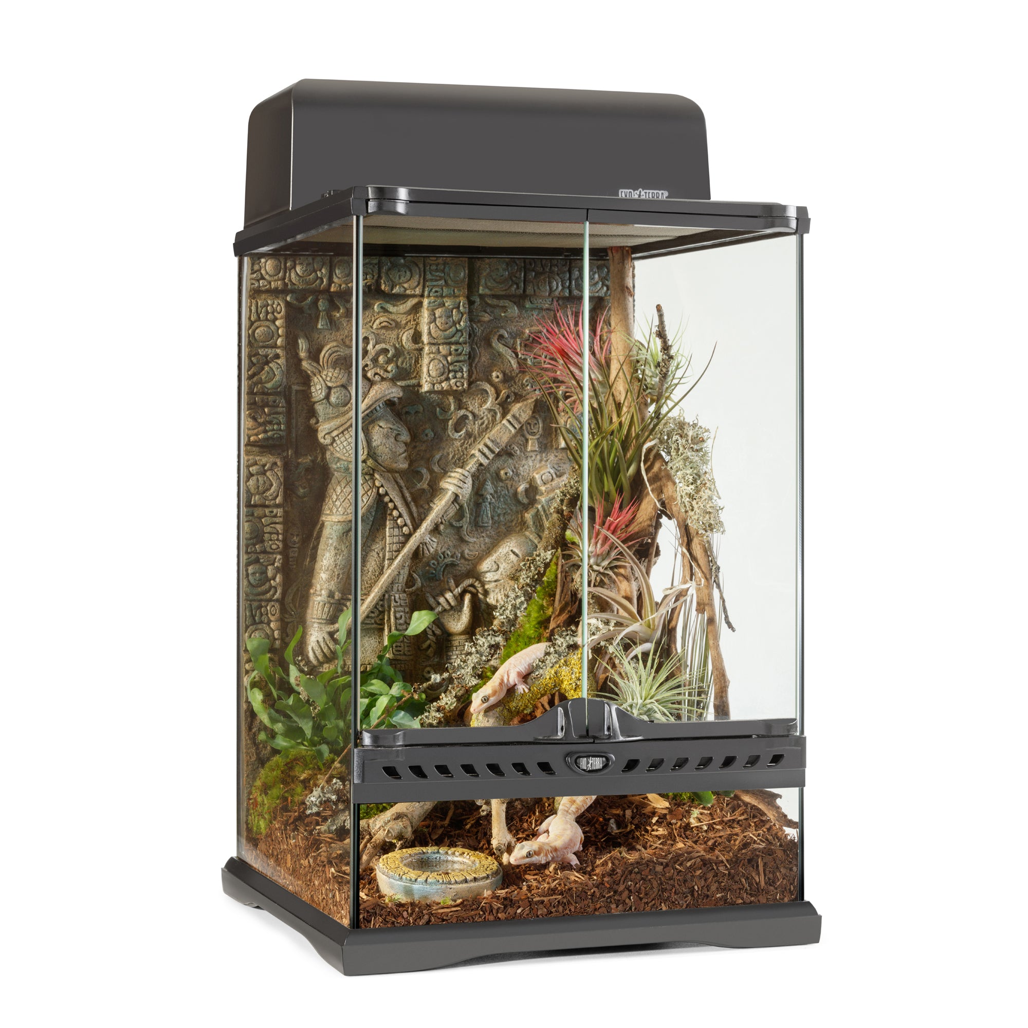 Exo Terra Aztec Terrarium, 12x12x18" – Northern Gecko Inc