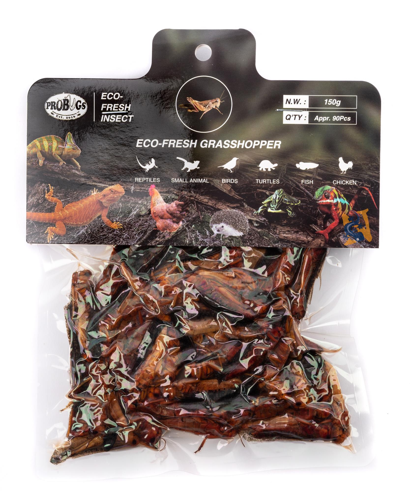 ProBugs Eco-Fresh Bulk Grasshoppers, 150g – Northern Gecko Inc