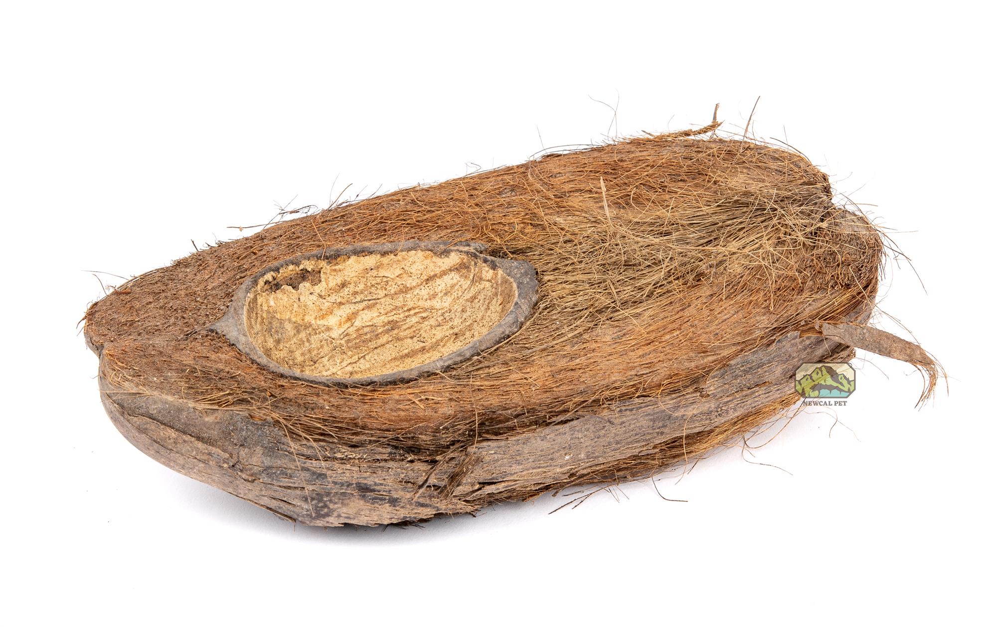 NewCal Coconut Half Dish – Northern Gecko Inc