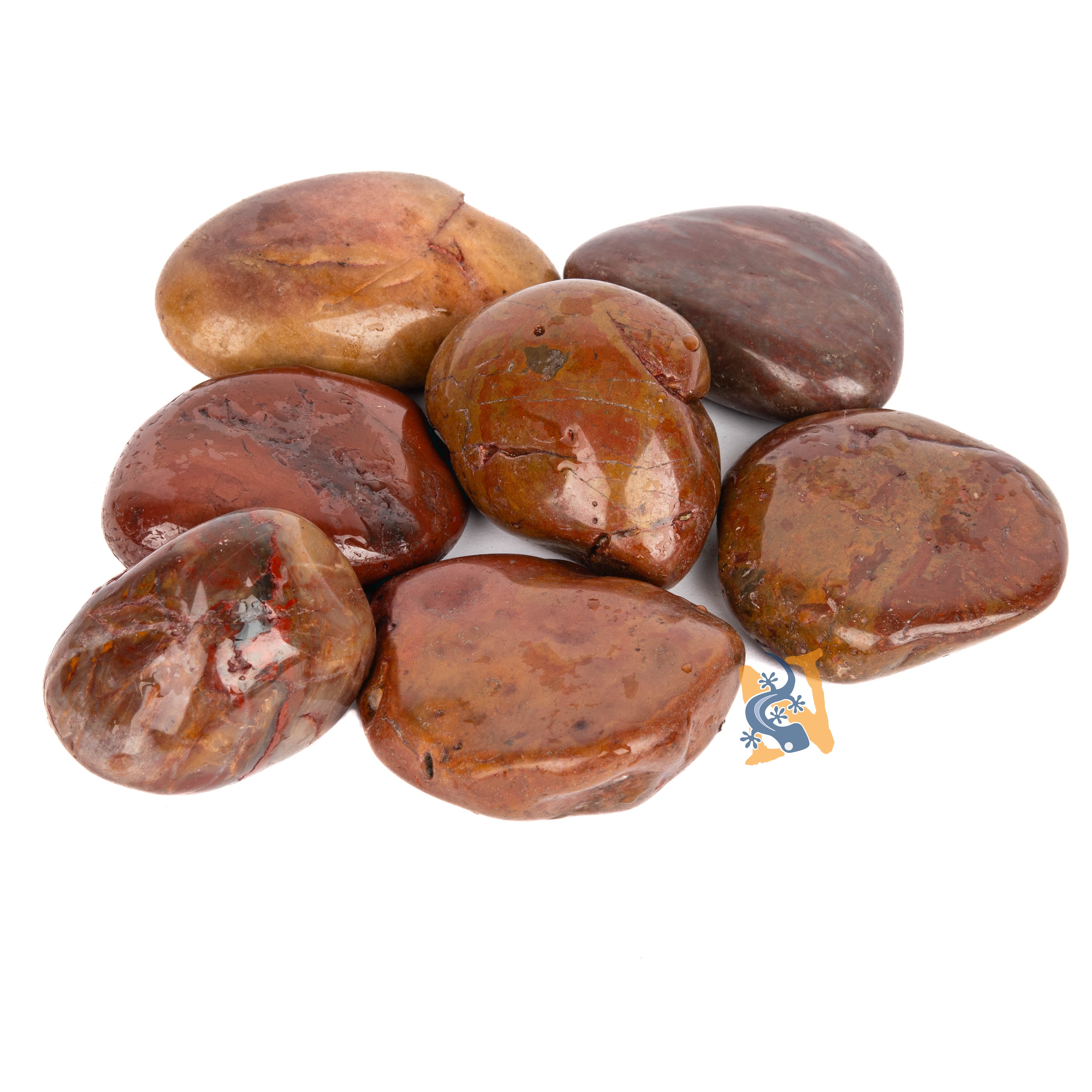 Aquaglobe Red Polished Pebble Rock – Northern Gecko Inc
