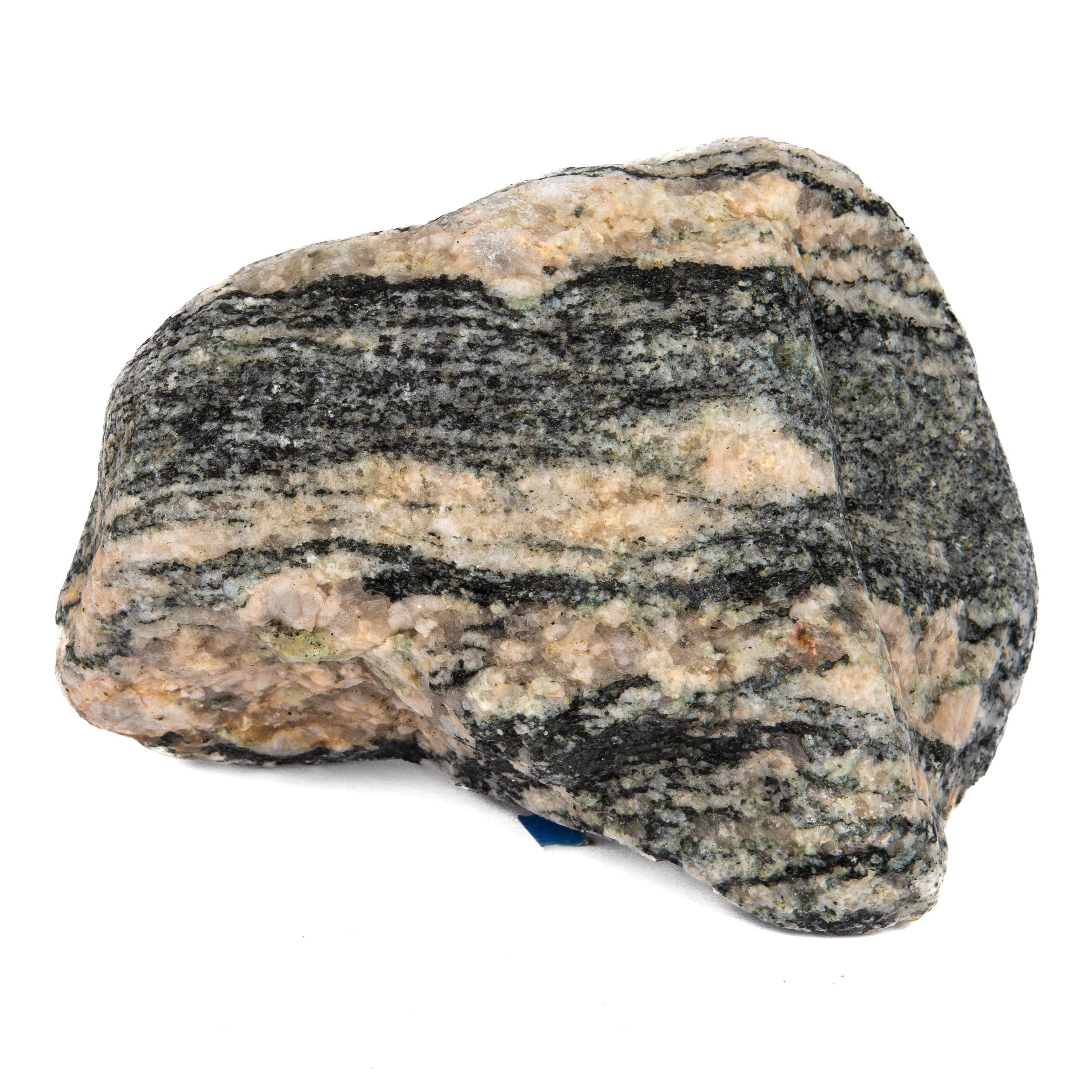 Tarzan Rock – Northern Gecko Inc