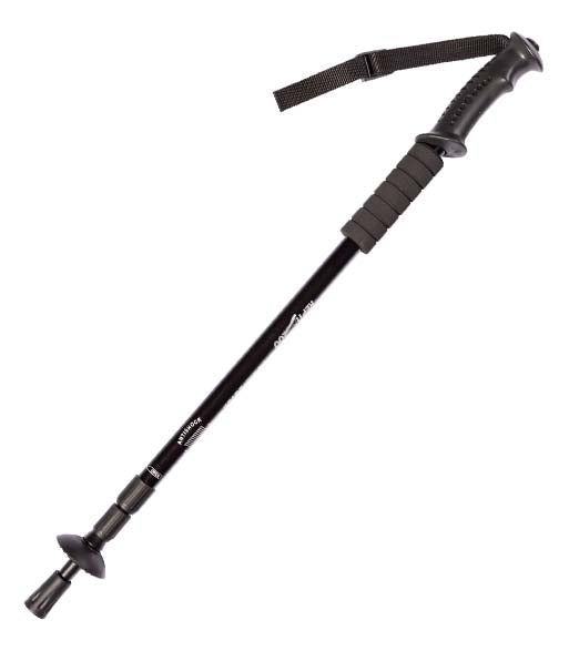 ReptiZoo 2-in 1 Snake Hook & Climbing Stick – Northern Gecko Inc