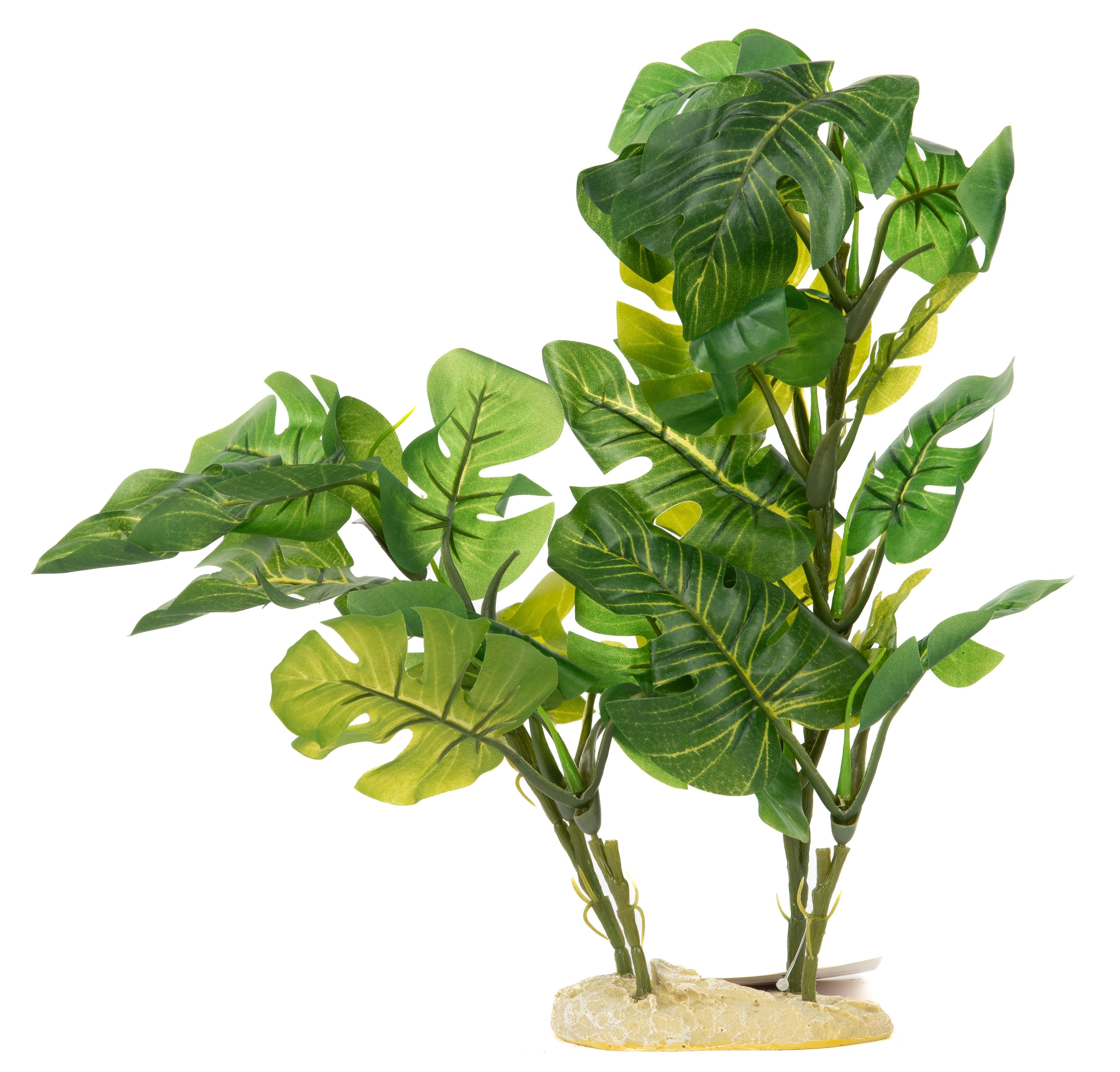 AquaGlobe Monstera Silk Plant – Northern Gecko Inc