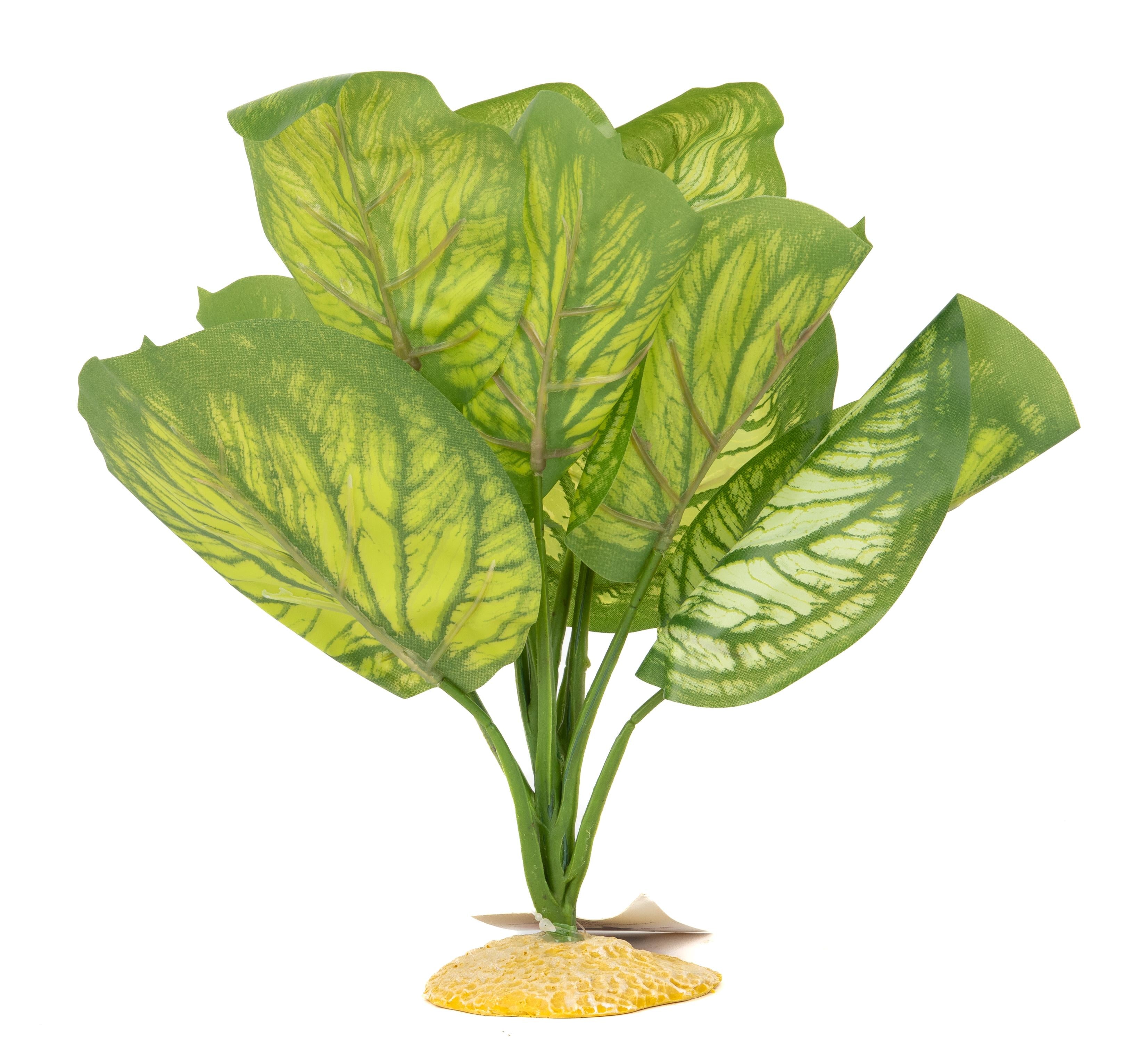 Aquaglobe Calathea Silk Plant – Northern Gecko Inc
