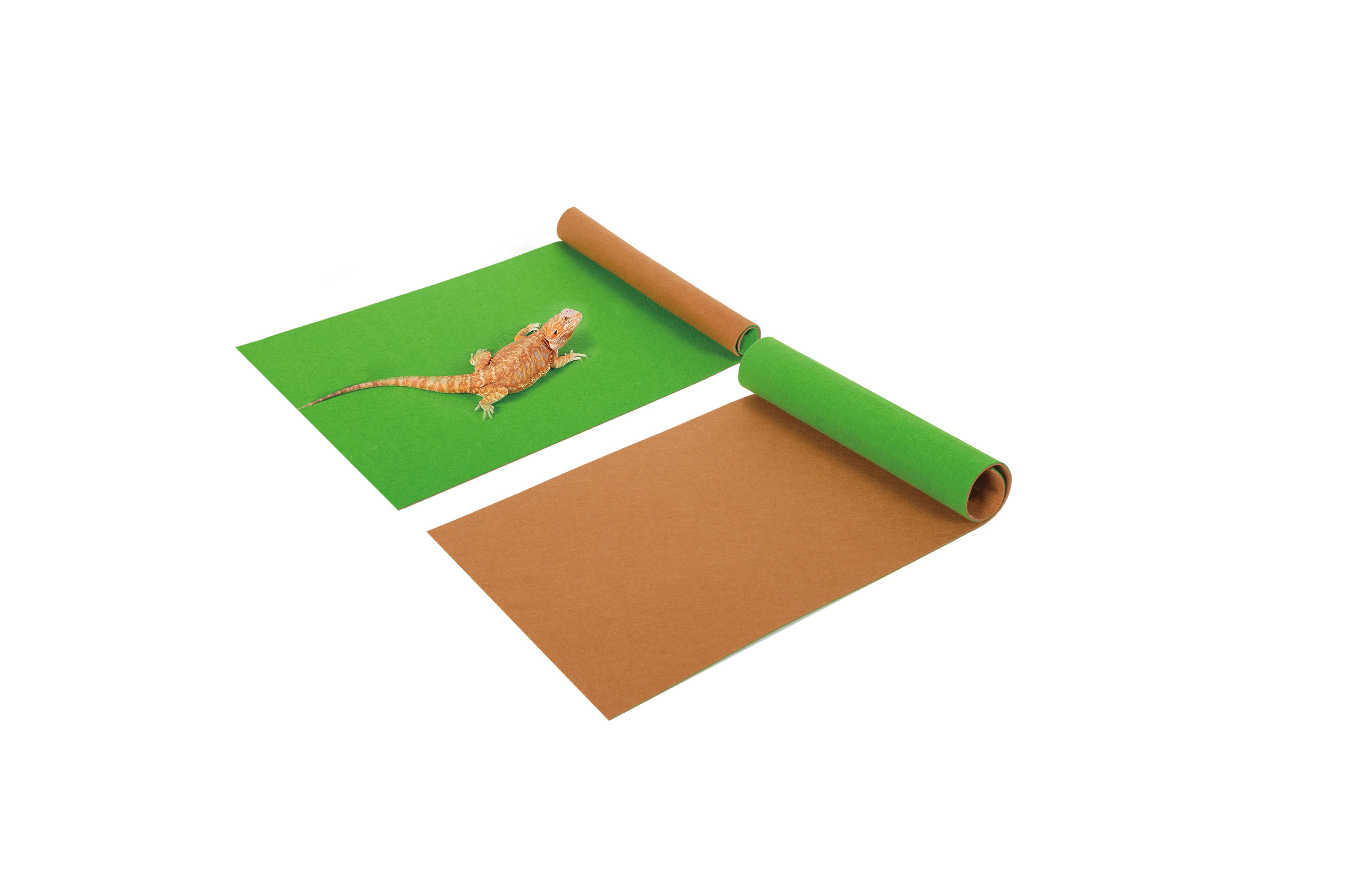 ReptiZoo Reversible Tropical \ Desert Mat – Northern Gecko Inc