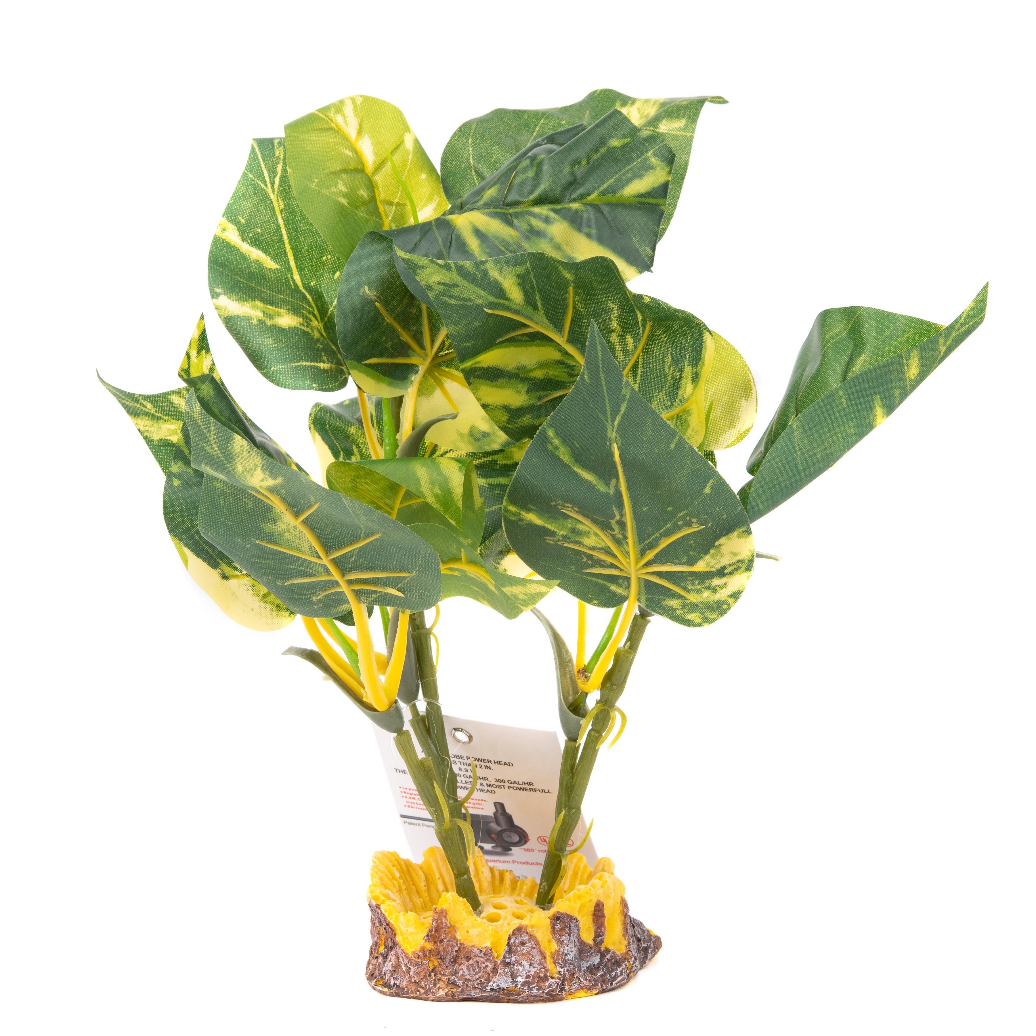 AquaGlobe Aureum Silk Plant – Northern Gecko Inc