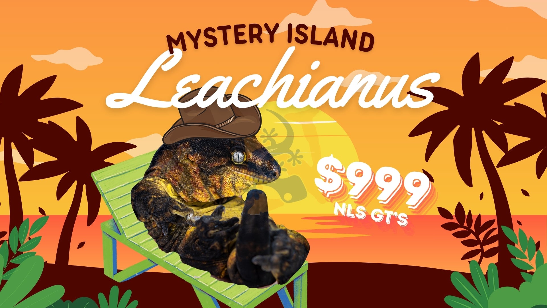 Mystery NLS GT Leachianus Gecko *SPECIAL* – Northern Gecko Inc